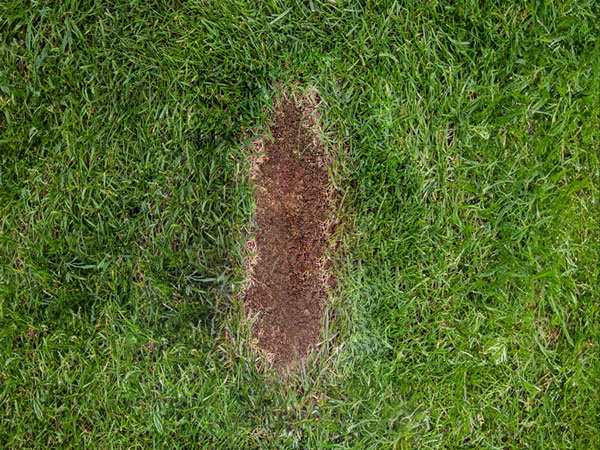 Wedge Selector Tool | TaylorMade Golf