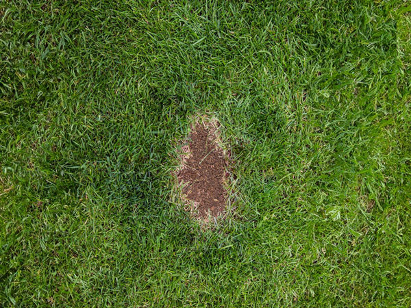 Wedge Selector Tool | TaylorMade Golf